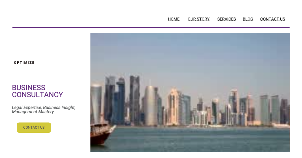 Optimize Business Services Website